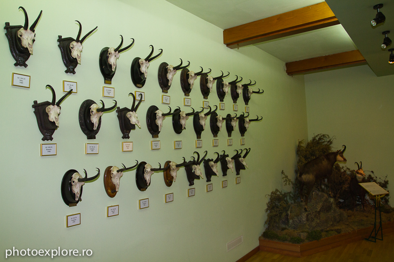 Muzeul Cinegetic Posada | PhotoExplore - Blog