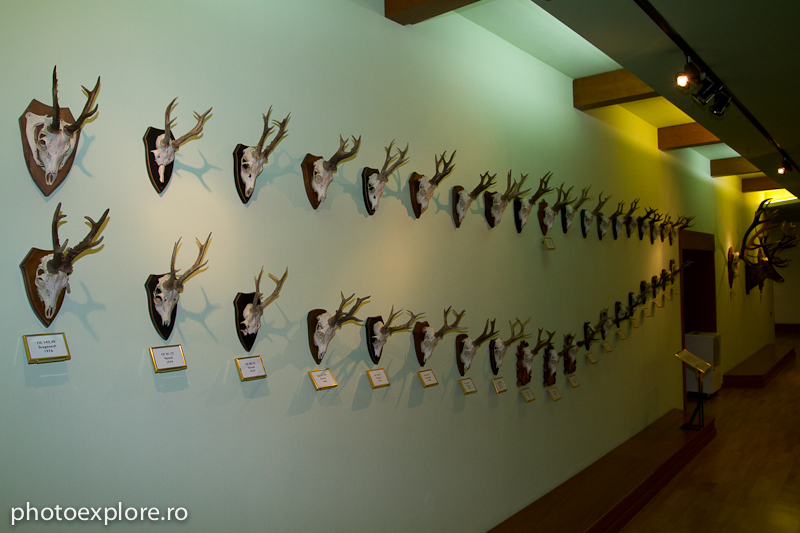 Muzeul Cinegetic Posada | PhotoExplore - Blog