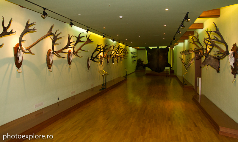 Muzeul Cinegetic Posada | PhotoExplore - Blog