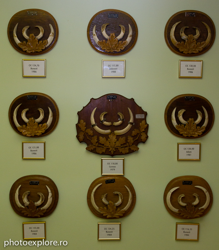 Muzeul Cinegetic Posada | PhotoExplore - Blog